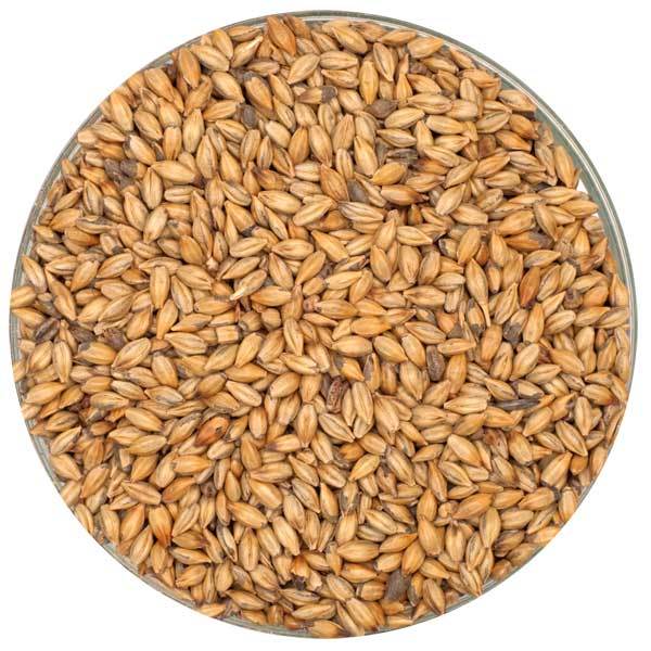 All Grain – Amazing Grains Homebrew